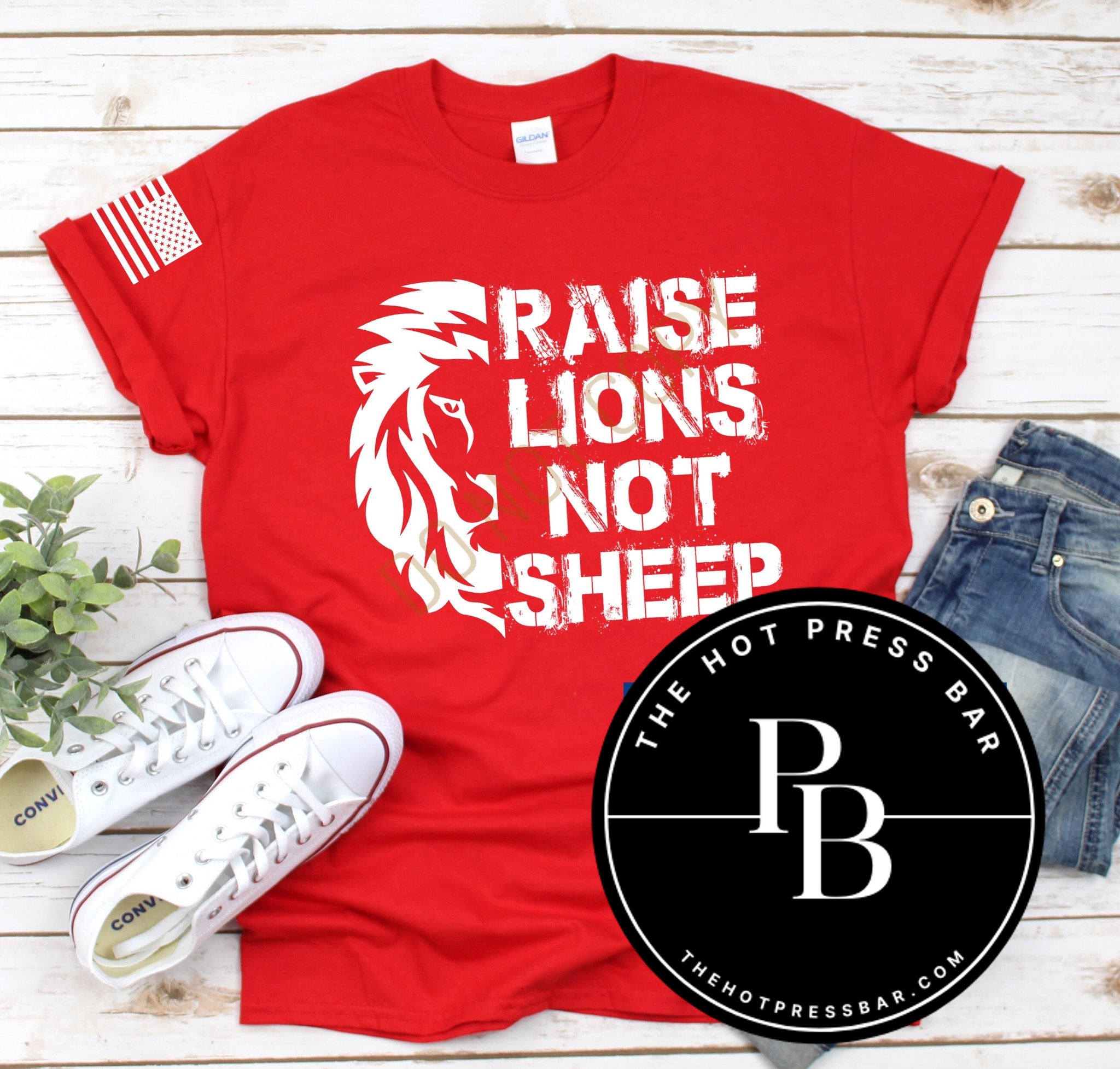 Raise Lions – The Hot Press Bar